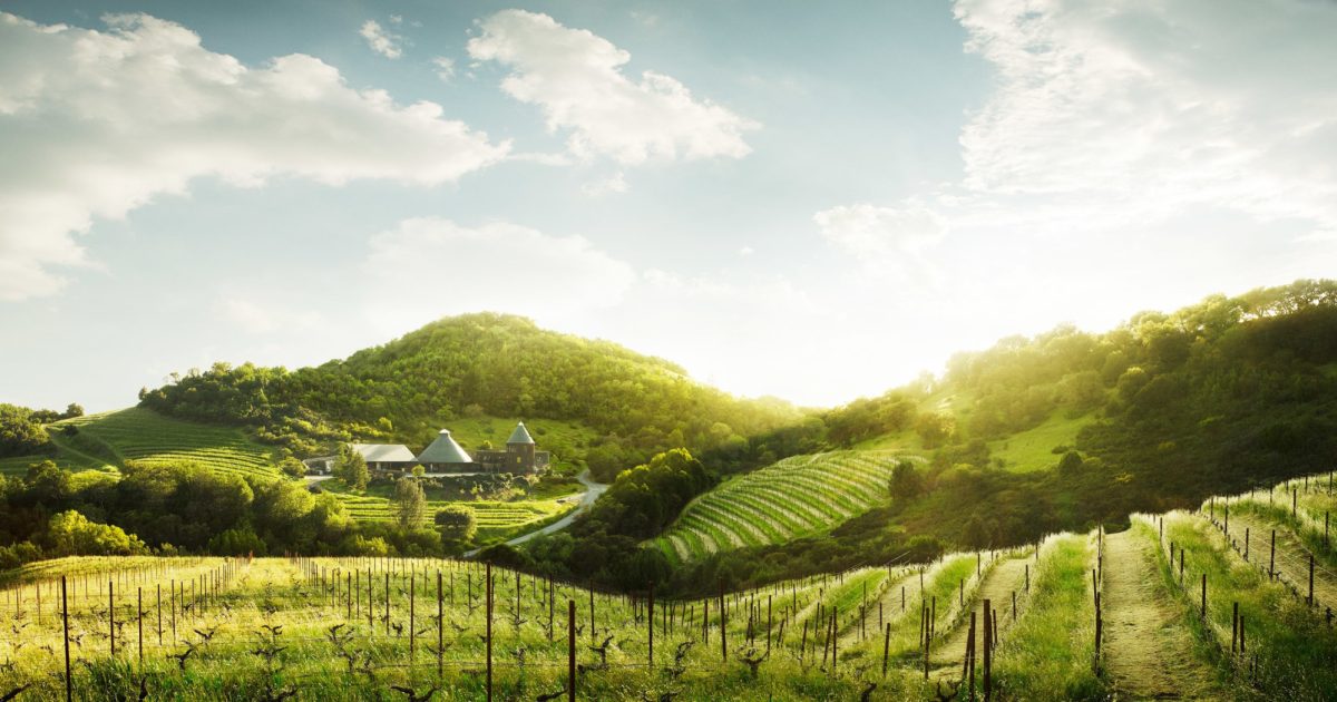 Repris Wines | Visit